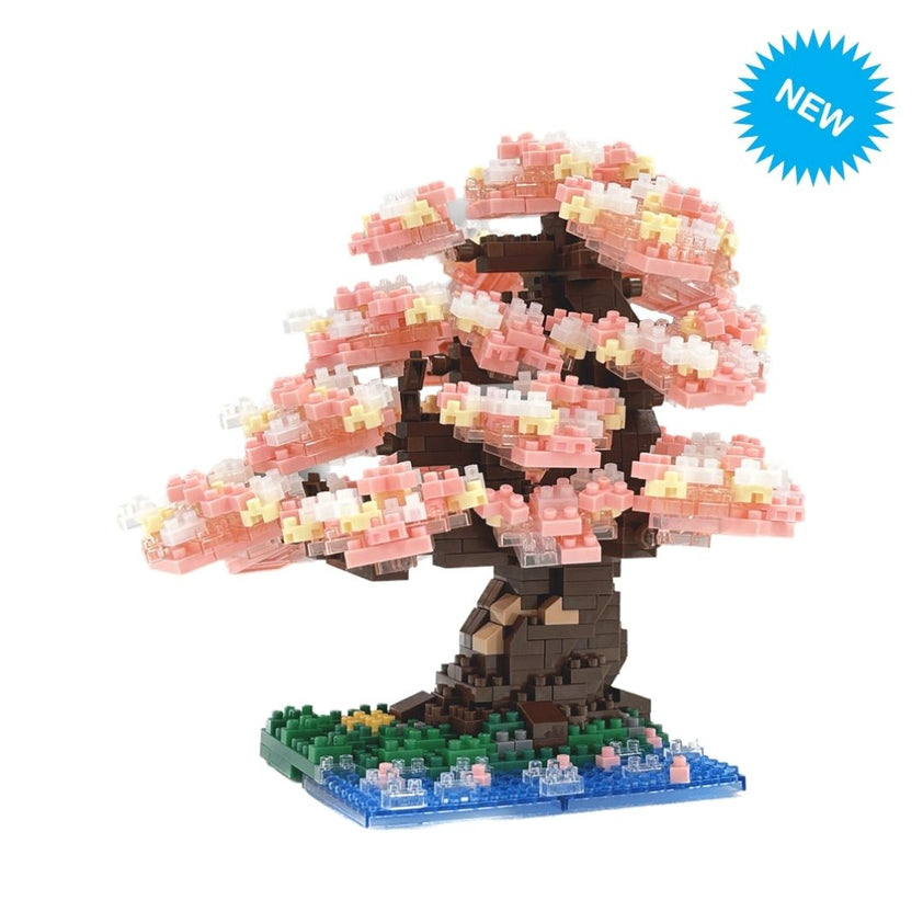 Bonsai Yoshino Cherry Deluxe